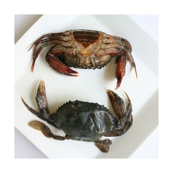 Soft Shell Crab Hotels 18 pzas - 1kg